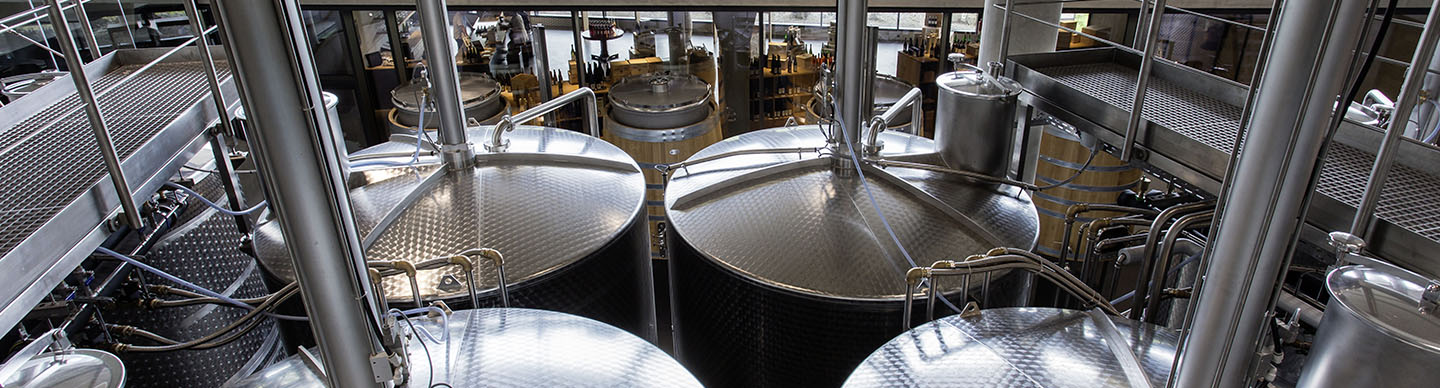 Red wine tank with mash plunger FD-MT - Speidel stainless steel tanks